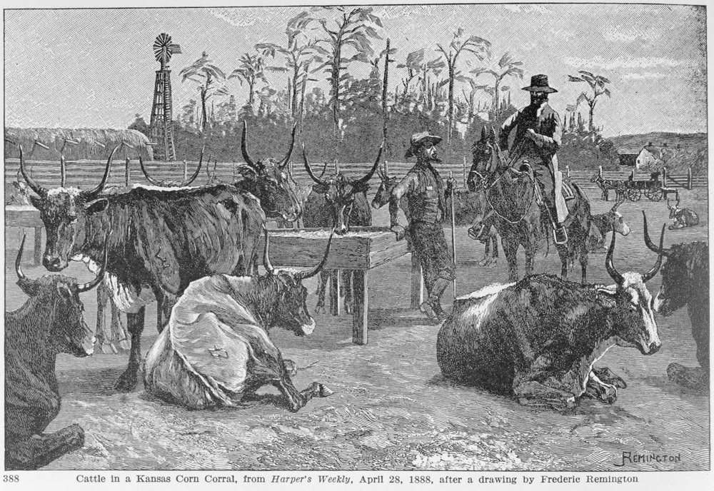 Bydło w zagrodzie Kansas Corn Corral, ilustracja z „Harper's Weekly ...